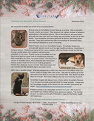 Snowflake Animal Rescue – We are an all volunteer 501(c)3 non-profit ...